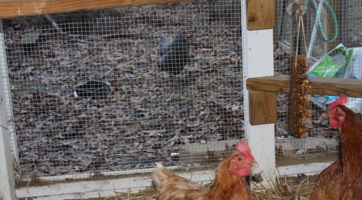 Easy DIY Flock Block