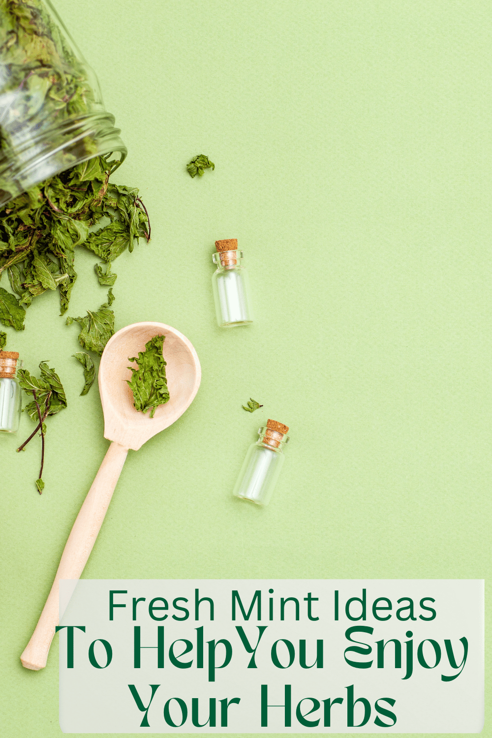 Fresh Mint Ideas To Help You Enjoy Your Herbs - ouredencultivated.com