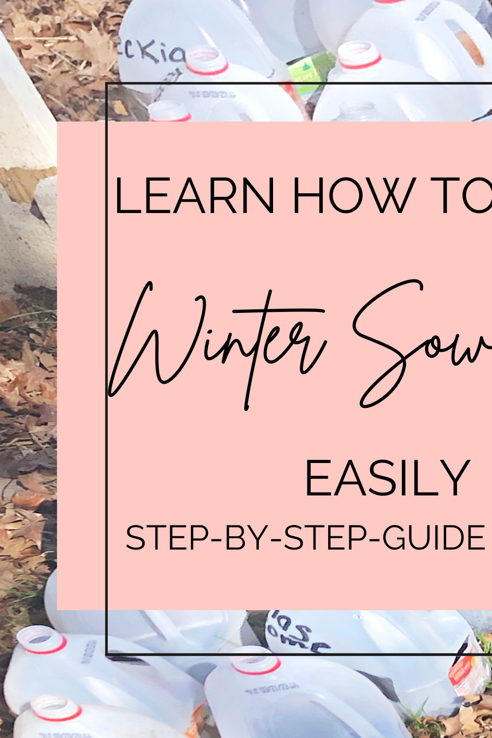 Winter Sowing: An Awesome Way to Be Lazy About Seed Starting ...